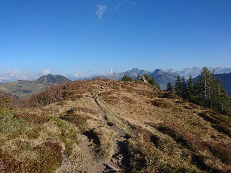 Boucle Damülser Mittagspitze – Hoher Blankengrat au départ de Damüls ...