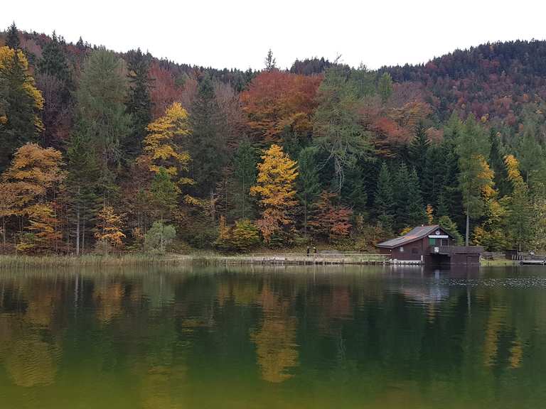Lautersee (Westufer): Wanderungen und Rundwege | komoot