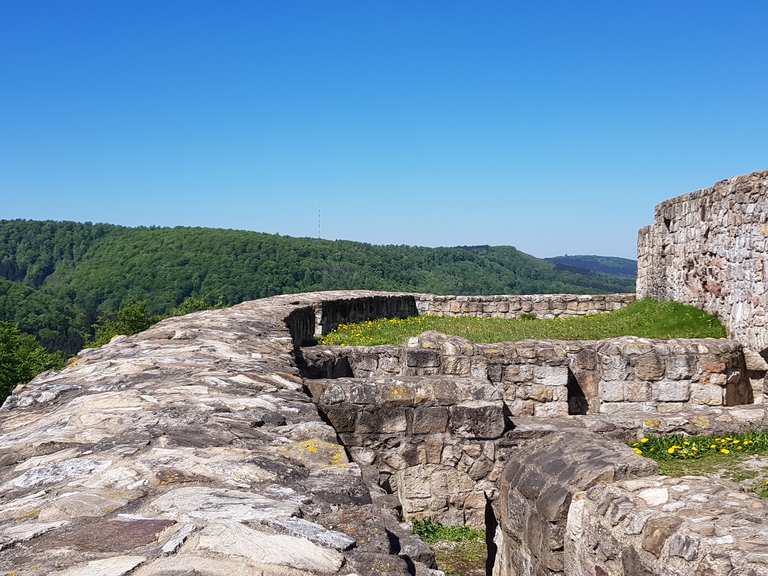 Falkenburg: Mountainbike-Touren und -Trails | komoot