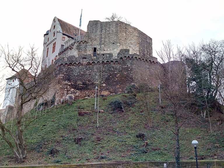 Alzenau Castle Routes for Walking and Hiking | Komoot