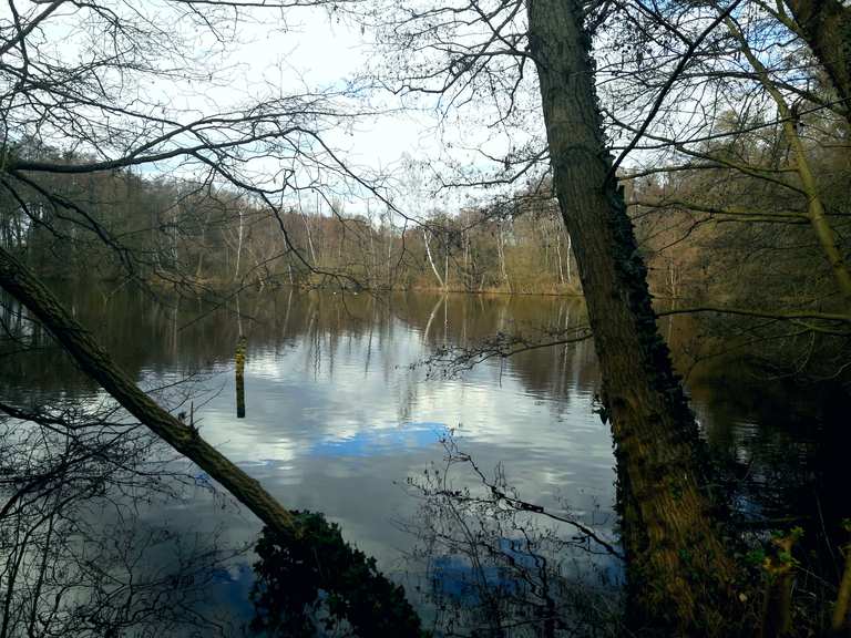 Naturfreundehaus Neuhofen: Wanderungen und Rundwege | komoot
