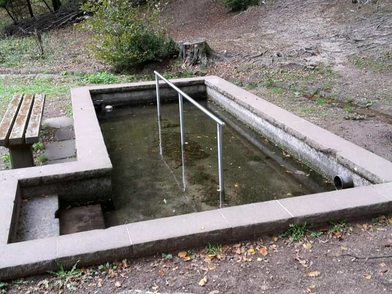 Queich-Quelle (Ritterstein Nr. 214: „Queich-Ursprung“): Wanderungen und ...