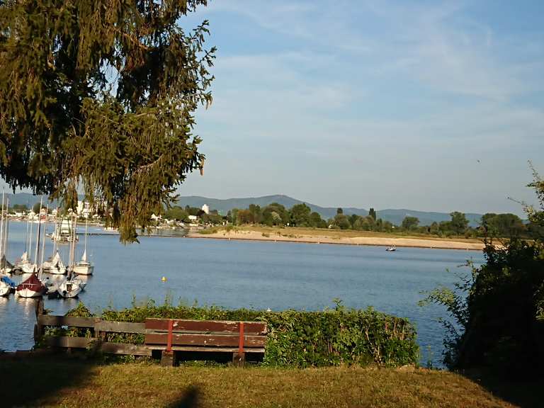 Eicher See - Cycle Routes and Map | Komoot