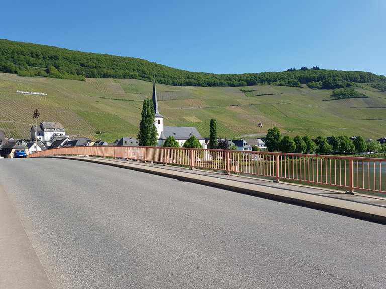Moselbrücke Piesport - Cycle Routes and Map | Komoot