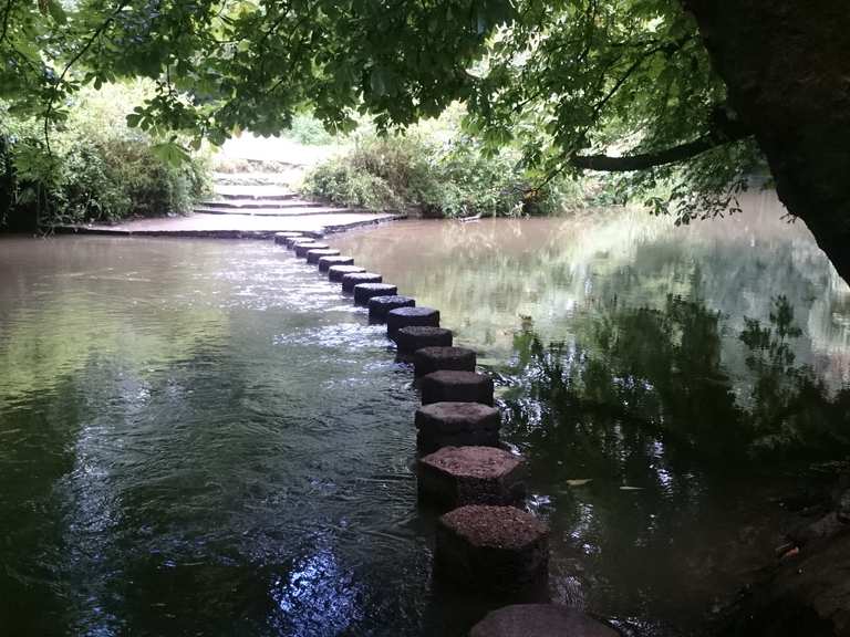 River Mole Stepping Stones Routes for Walking and Hiking | Komoot