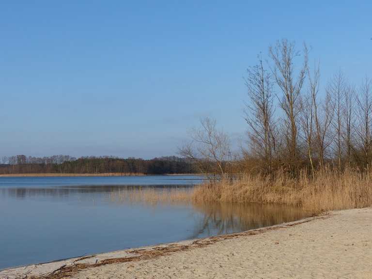 Badestelle Seddiner See: Wanderungen und Rundwege | komoot