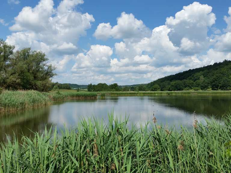 Scheerweiher: Mountainbike-Touren und -Trails | komoot