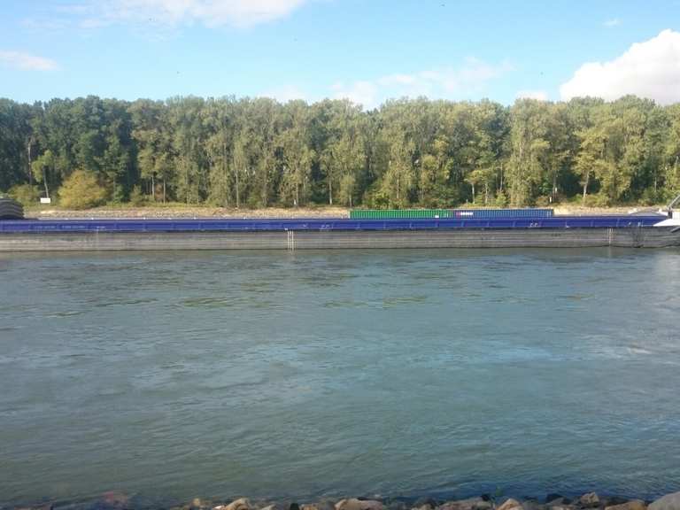 Rheinblick Trebur Steindamm - Cycle Routes and Map | Komoot