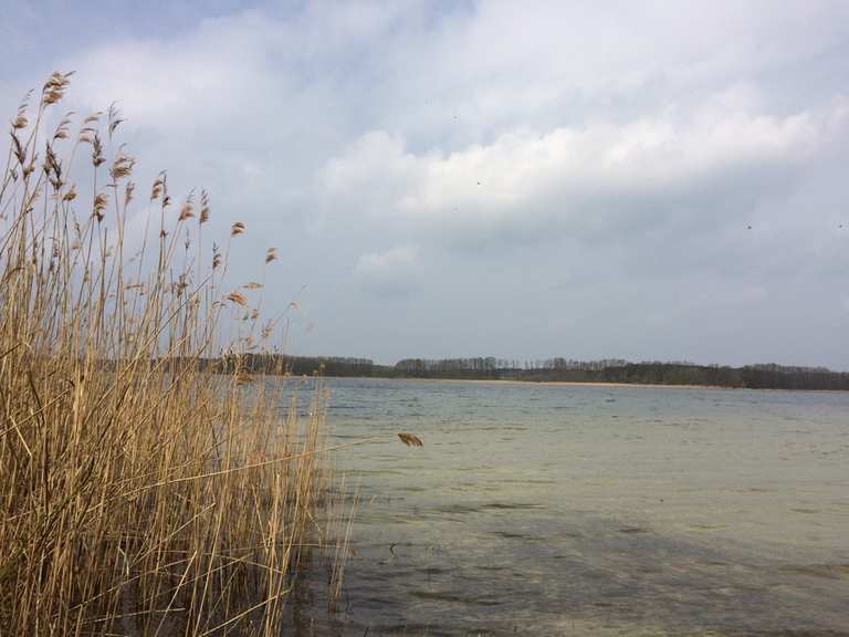 Badestelle Seddiner See: Wanderungen und Rundwege | komoot