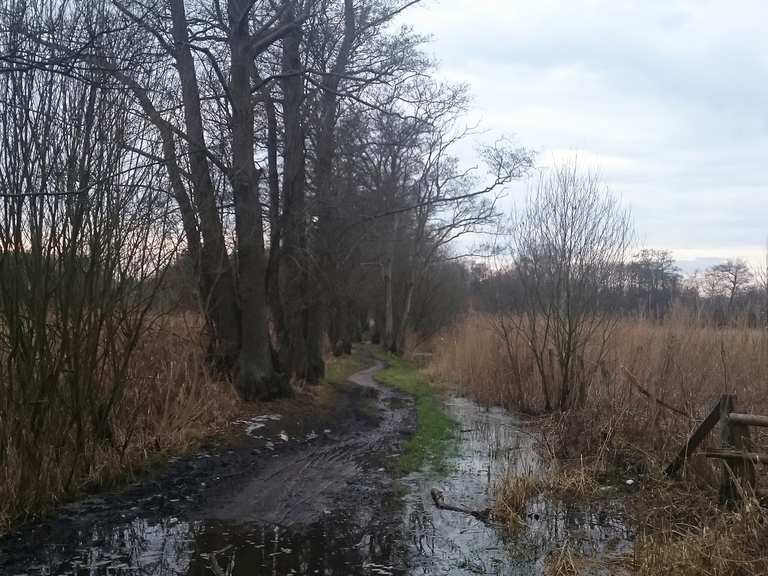 NSG Aalbeek-Niederung: Mountainbike-Touren | komoot