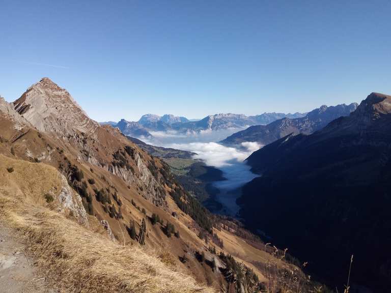 Zindlenspitz Summit Routes for Walking and Hiking | Komoot