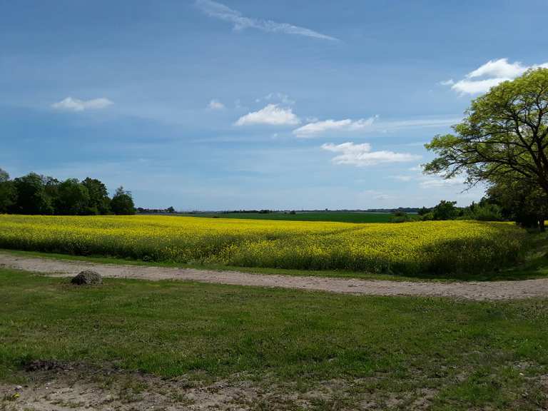 Sandweg durch die Felder Cycle Routes and Map | Komoot