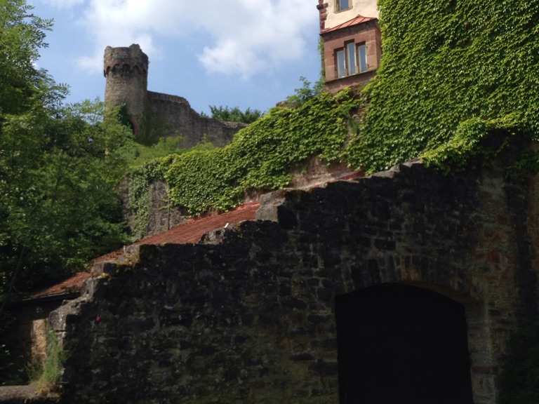 Burg Neidenstein : Radtouren und Radwege | komoot