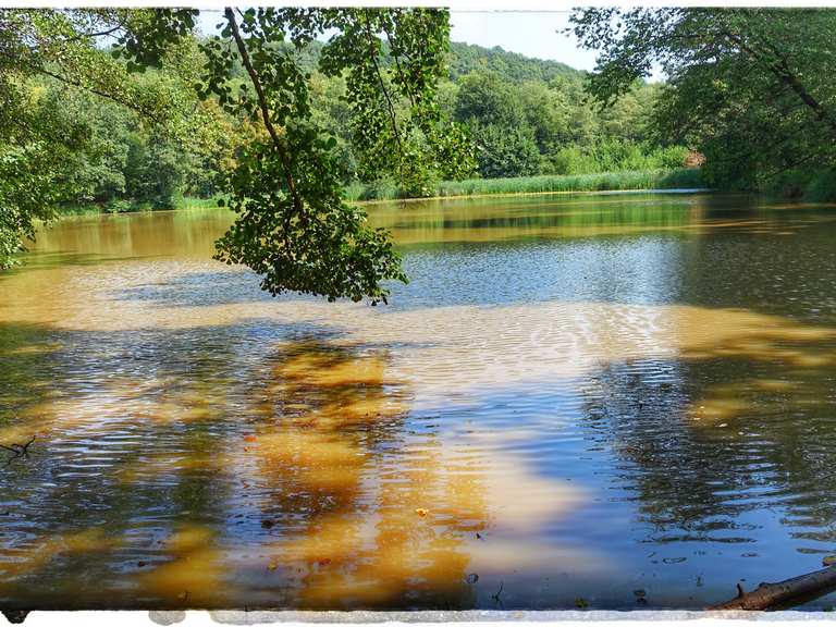 Annasee Routes for Walking and Hiking | Komoot