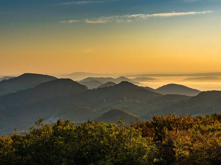 Wisenberg-Aussichtsturm – Wander- & Radrouten | Komoot