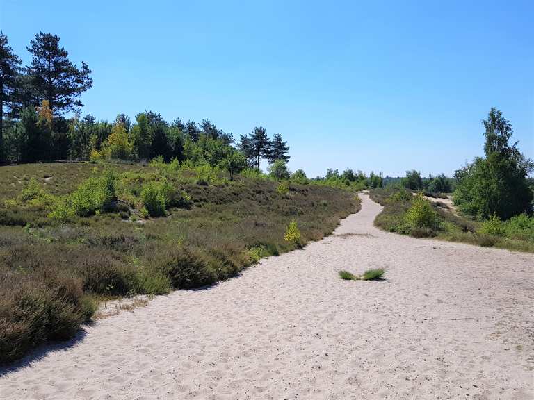 Maasduinen Reindersmeer wandelroutes en hikes | Komoot