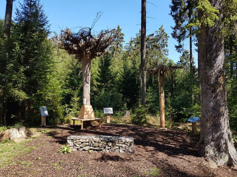 The Mega Forest Marble Run — hiking with small children in RLP and ...