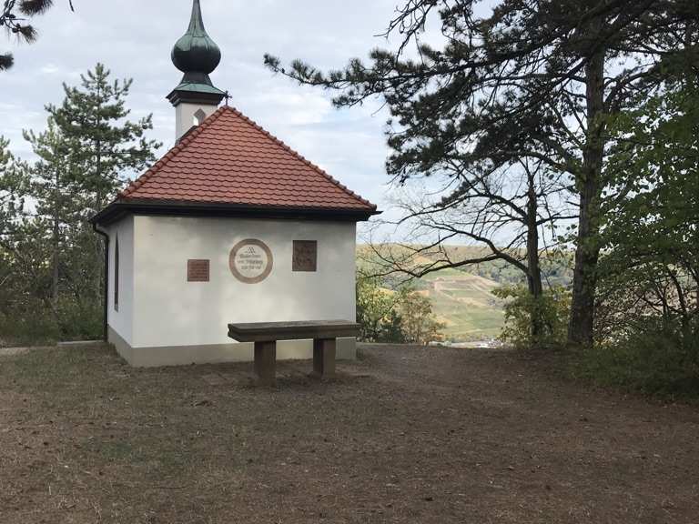 Toller Ausblick auf Erlabrunn - Mountain Bike Trails & Tracks | Komoot