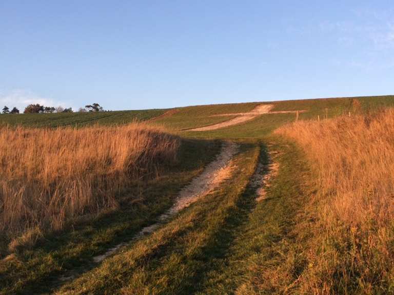 Lenham Cross Routes for Walking and Hiking | Komoot
