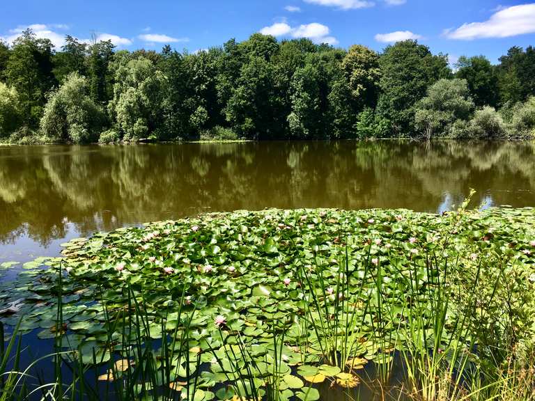 Teufelssee im Teufelsseemoor Köpenick: Wanderungen und Rundwege | komoot