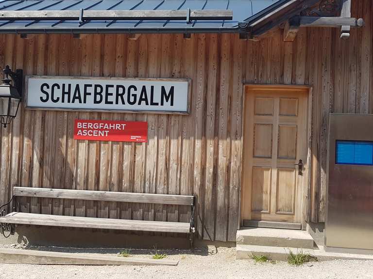 Schafbergalm – Station der Bergbahn: Wanderungen und Rundwege | komoot