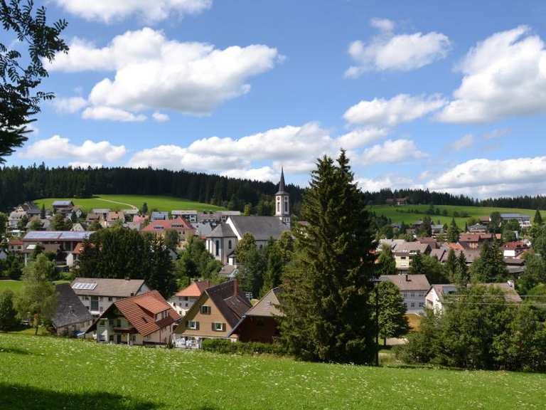 Blick auf Schönwald Routes for Walking and Hiking | Komoot