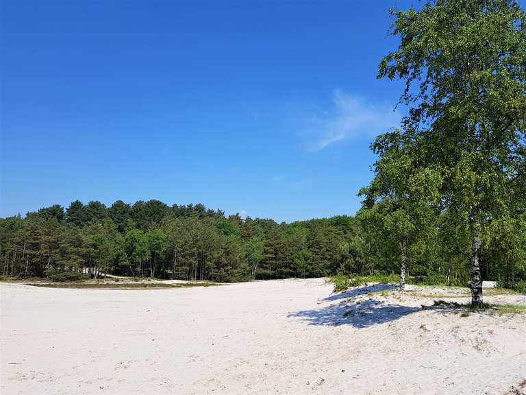 Brunssummerheide wandelroutes en hikes | Komoot