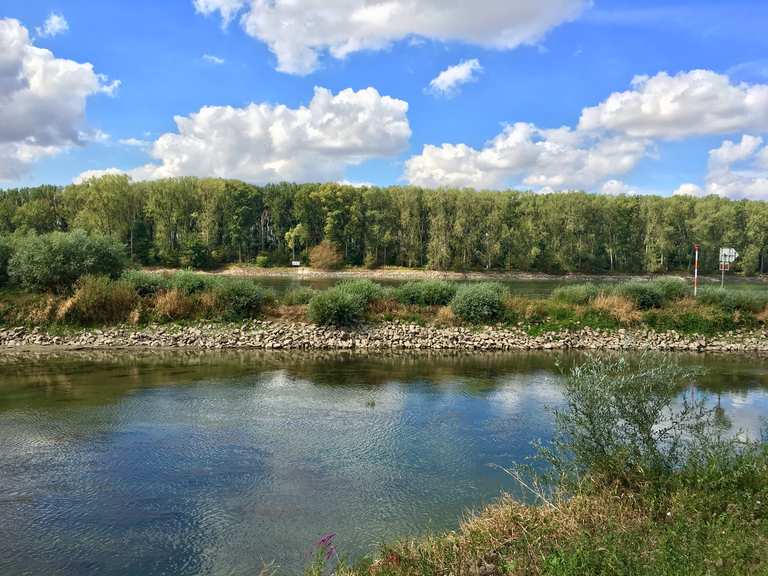 Rheinblick Trebur Steindamm - Cycle Routes and Map | Komoot