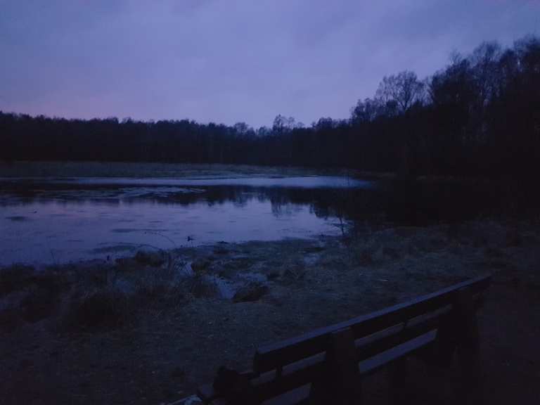 Kleiner See am Himmelmoor Routes for Walking and Hiking | Komoot