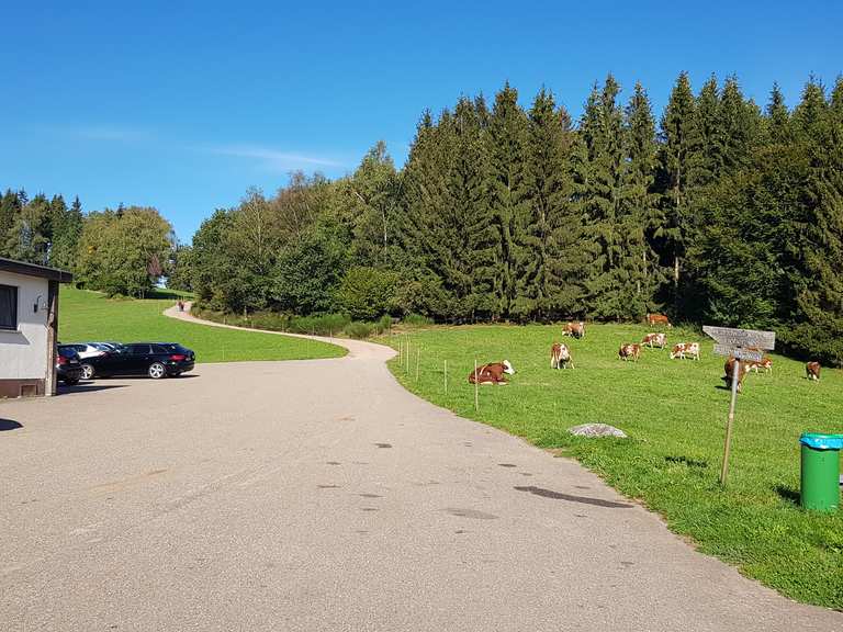 Urenkopfturm – Heidburg Pass Runde von Haslach | Mountainbike-Tour | Komoot