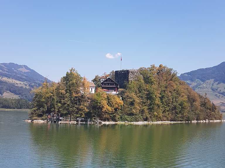 Insel Schwanau - Mountain Bike Trails & Tracks | Komoot