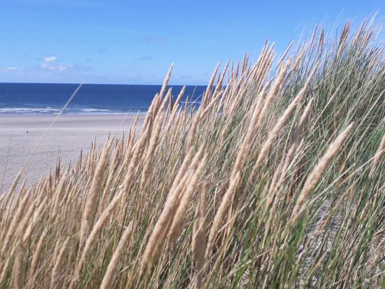 Oost-Vlieland - Cycle Routes and Map | Komoot