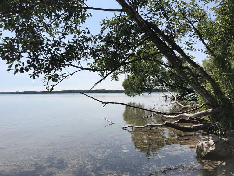 Selenter See - Badestelle Grabensee : Radtouren und Radwege | komoot