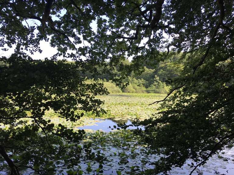 Roikier See Routes for Walking and Hiking | Komoot