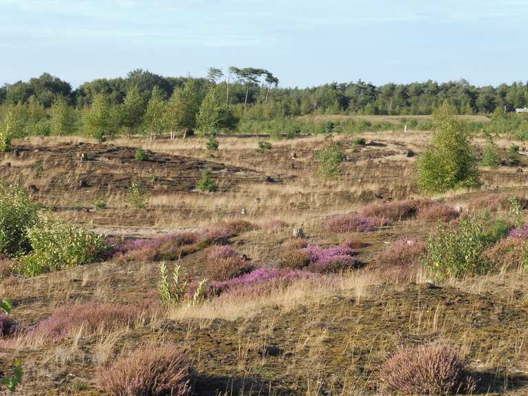 Strabrechtse Heide & Beuven fietsroutes en kaart | Komoot