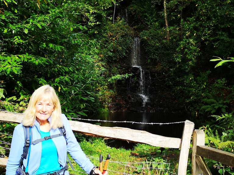 Tillingbourne Waterfall (periodically): Wanderungen und Rundwege | komoot