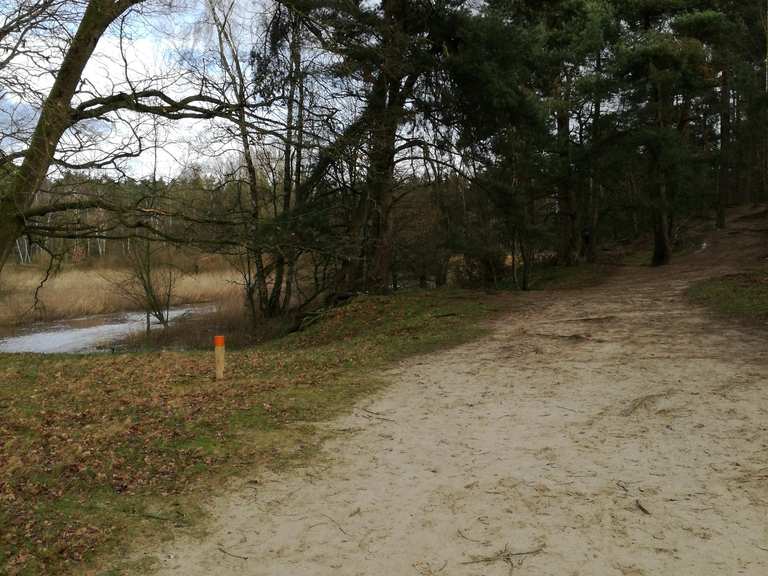 Lutterzand – Greune Stet Runde von Holt und Haar | Wanderung | Komoot