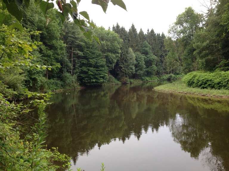 Zwickauer Mulde: Wanderungen und Rundwege | komoot