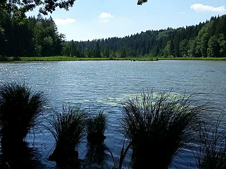 Thanninger Weiher: Wanderungen und Rundwege | komoot