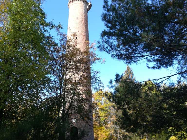 Grand Wintersberg Routes for Walking and Hiking | Komoot