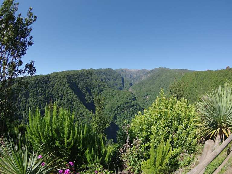 Mirador de las Barandas Routes for Walking and Hiking | Komoot