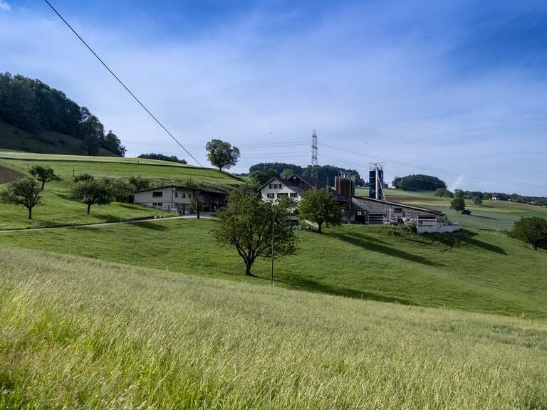 Rotberg: Mountainbike-Touren und -Trails | komoot