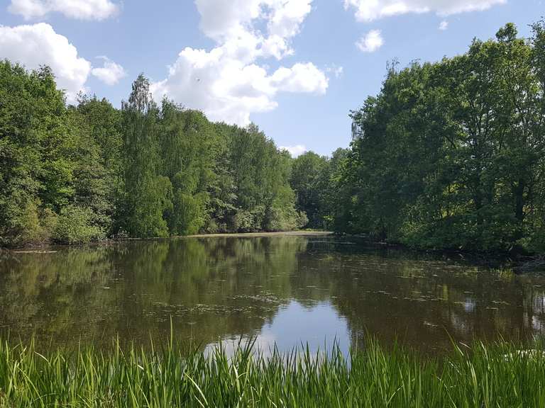 Strandhaus Grashof am Rothsee Routes for Walking and Hiking | Komoot