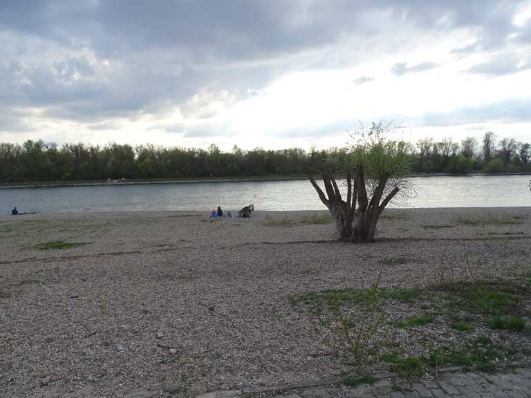 Strandbad Mannheim-Neckarau: Wanderungen und Rundwege | komoot