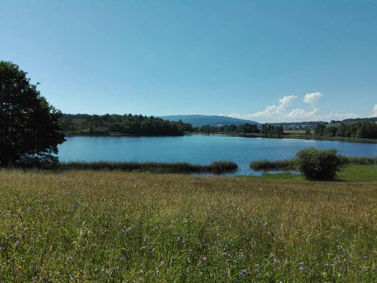 Seebad Katzensee : Radtouren und Radwege | komoot