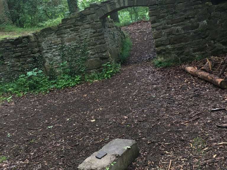 Burgruine Rodenberg: Mountainbike-Touren und -Trails | komoot