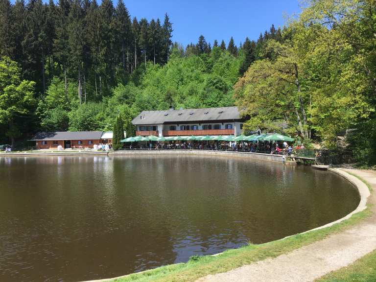 Deininger Weiher: Wanderungen und Rundwege | komoot