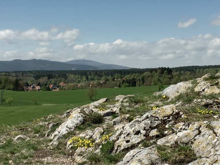 Galgenberg (HWN 38): Wanderungen und Rundwege | komoot