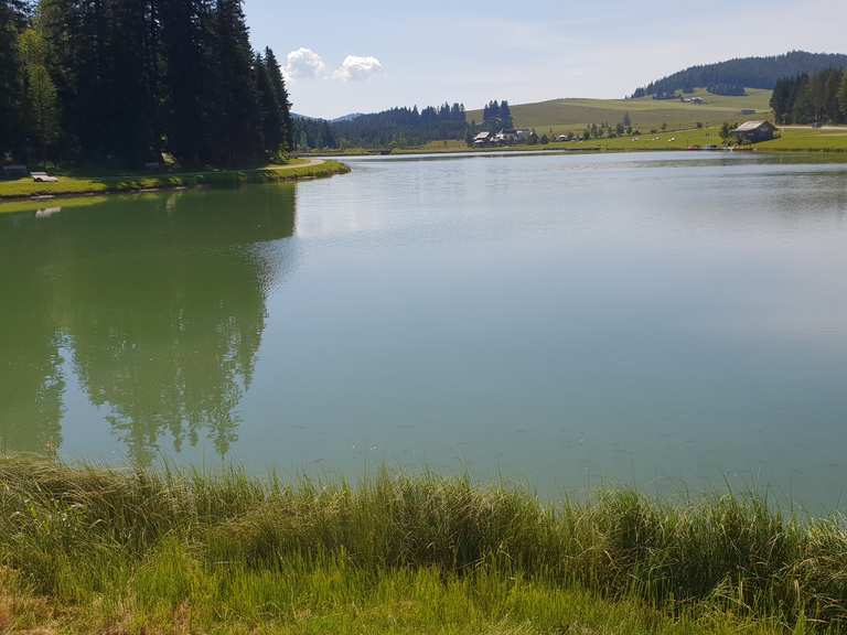 Teichalmsee: Wanderungen und Rundwege | komoot