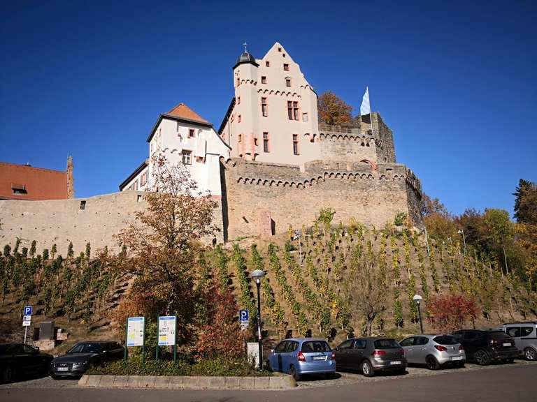 Burg Alzenau : Radtouren und Radwege | komoot